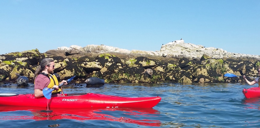 Guided Kayaking Tours in Dublin, Ireland and Slovenia