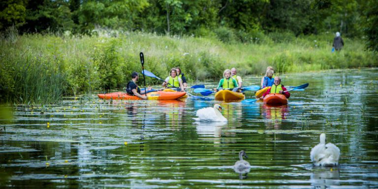 Learn to Kayak Weekend Courses